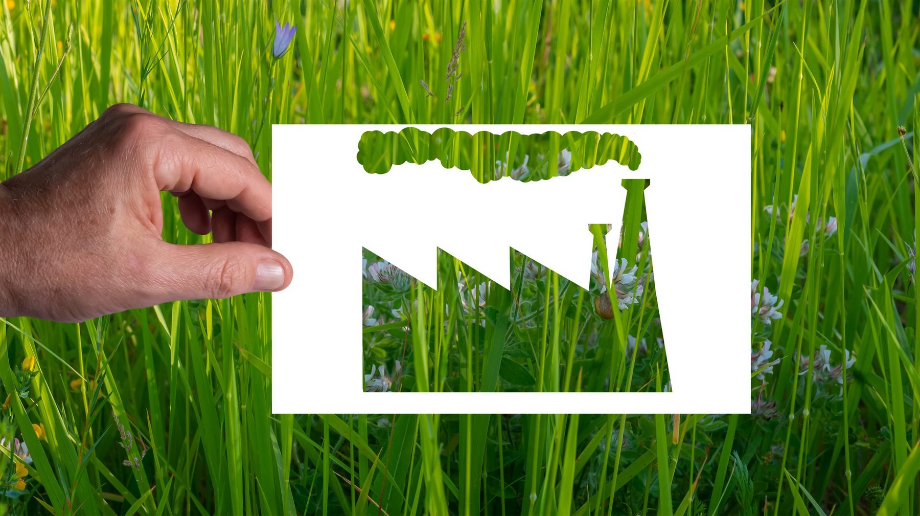 Gartner – How to identify and mitigate greenwashing risks | Business ...