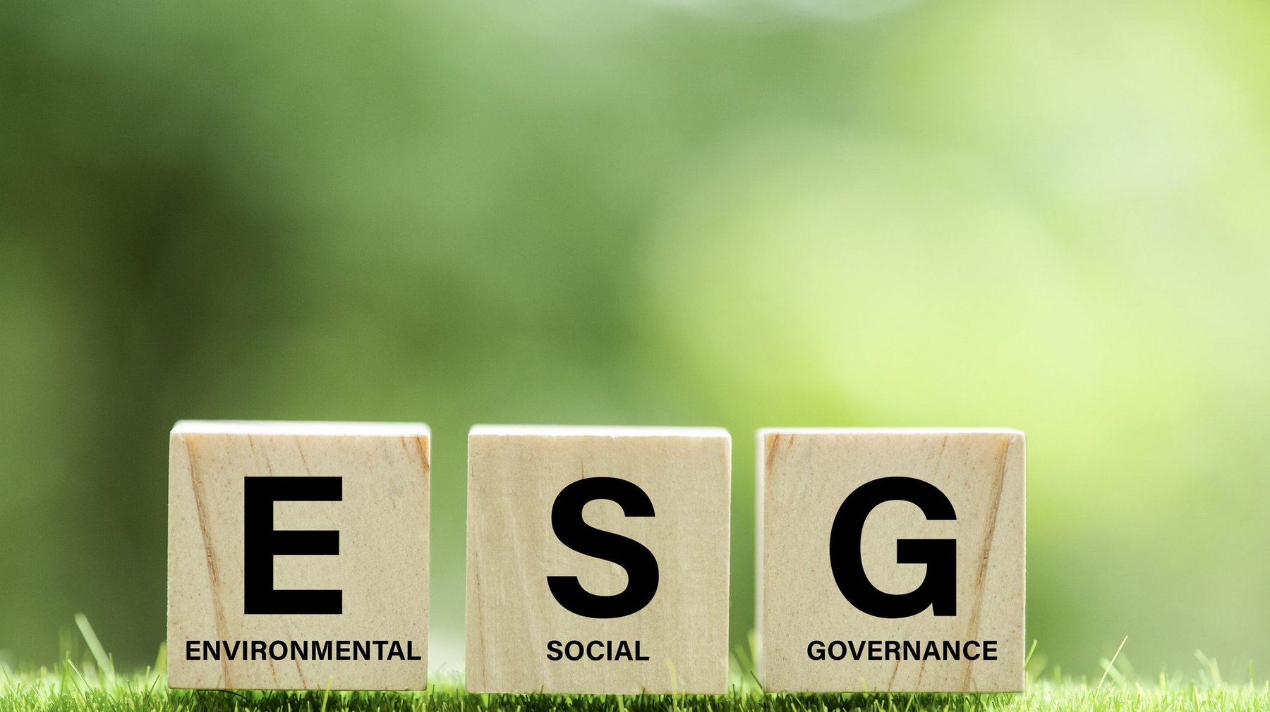 A beginner's guide to developing your company's ESG strategy ...