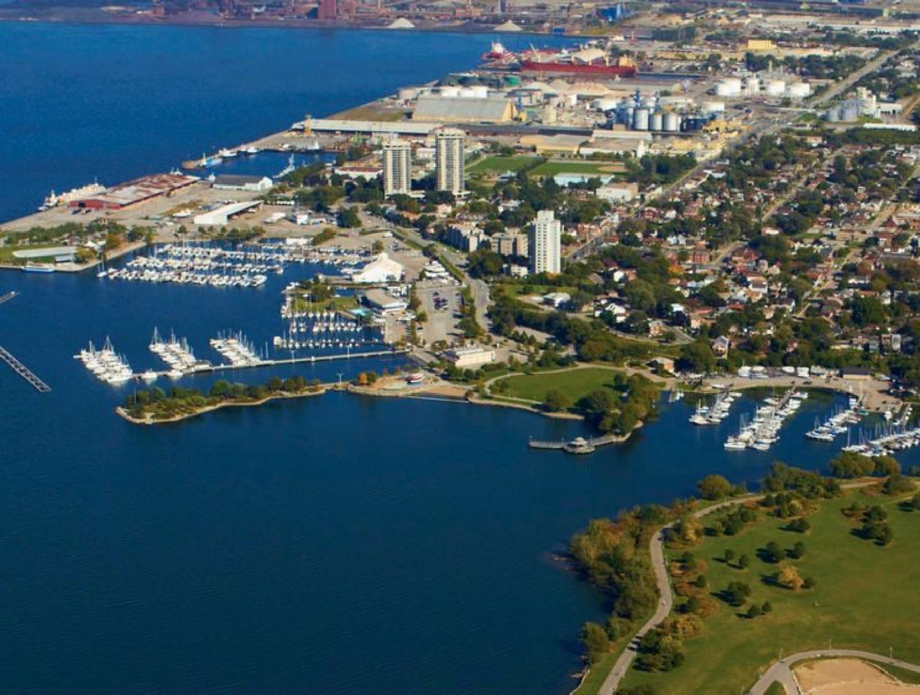 Cyrus Tehrani | Business Chief North America