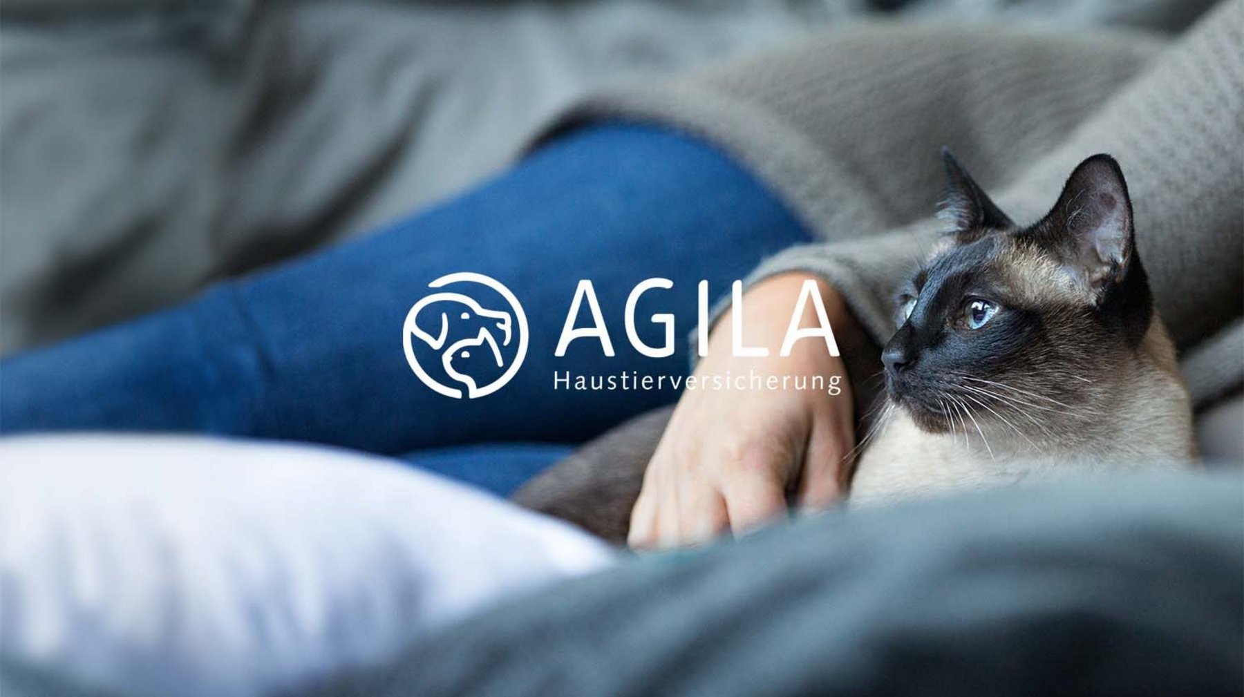 JAB Holdings makes Agila its next pet insurance acquisition | InsurTech ...