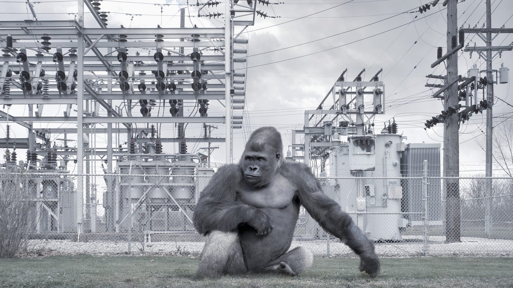 Huge growth means AI has "800-pound gorilla" energy problem | AI Magazine