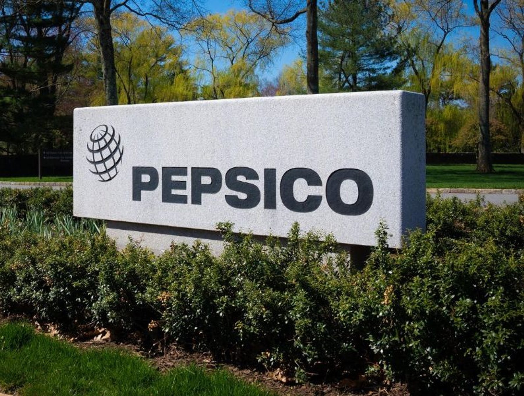 Pepsico Company Logo