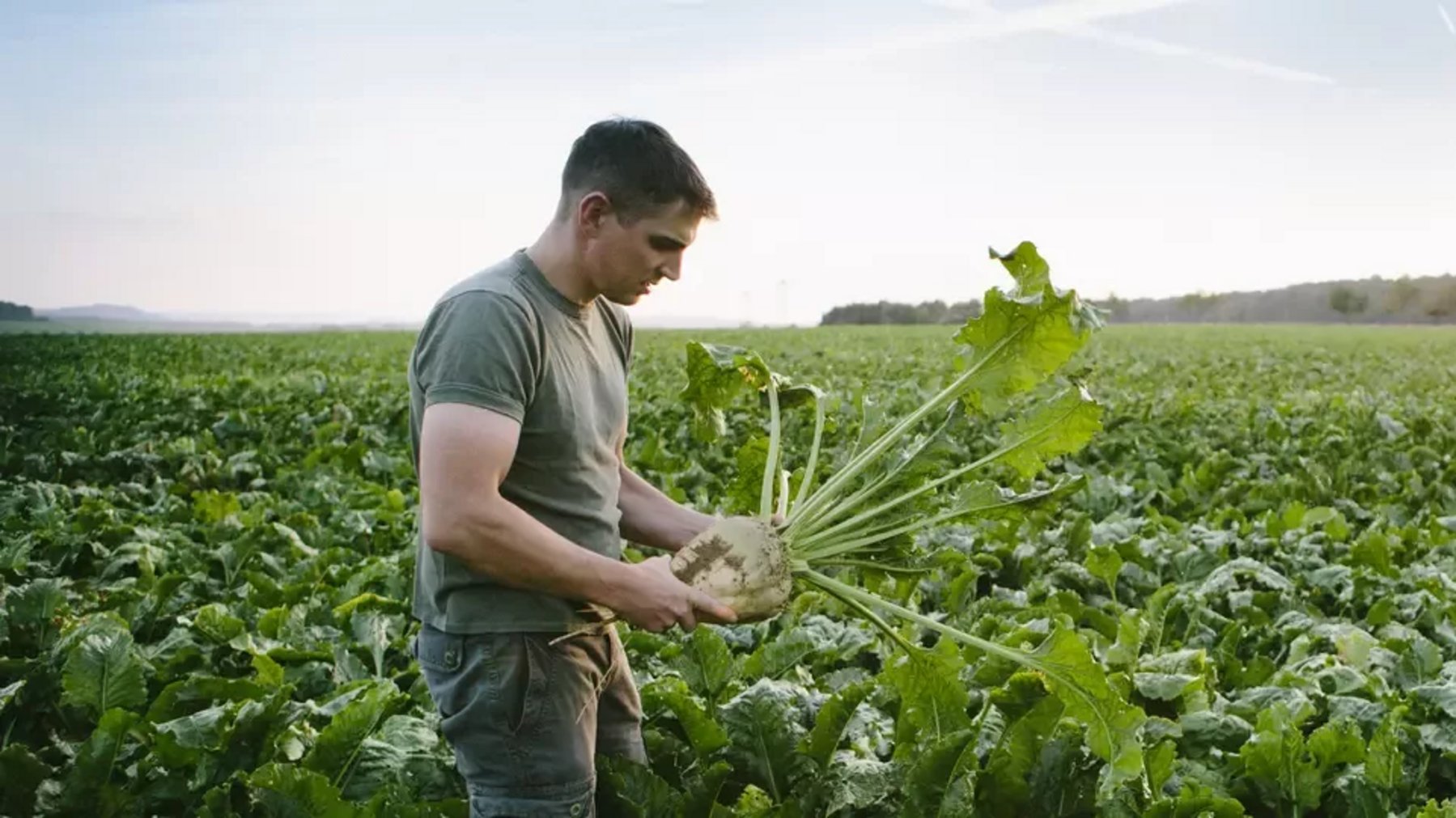 Top 10 sustainable innovations in food | Food Digital