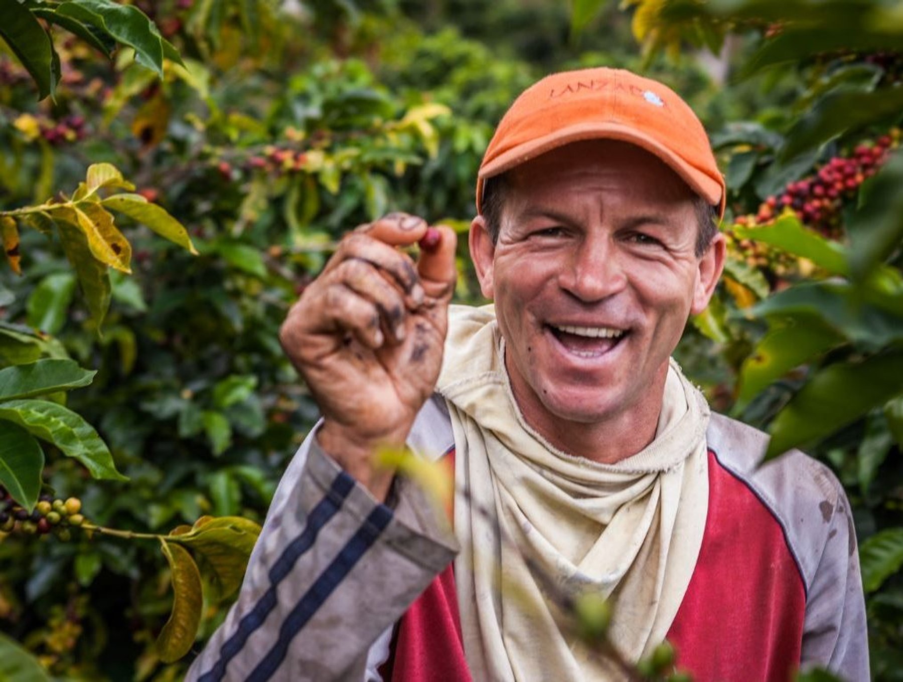 How Nestlé’s Nescafé is Smashing its Sustainability Targets ...