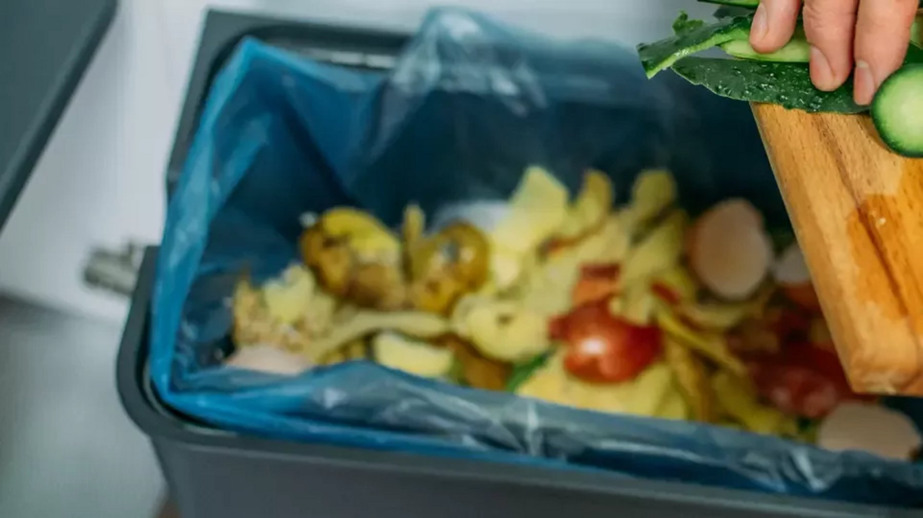 Orbisk to commercialise its system to tackle food waste | Food Digital