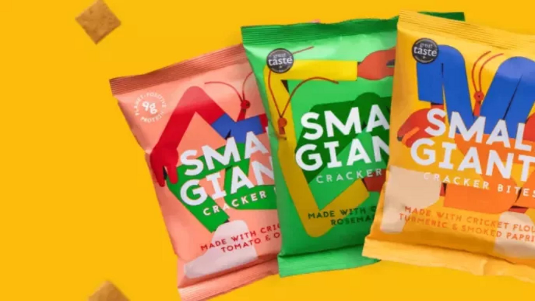 Small Giants insect protein snack secures funding | Food Digital