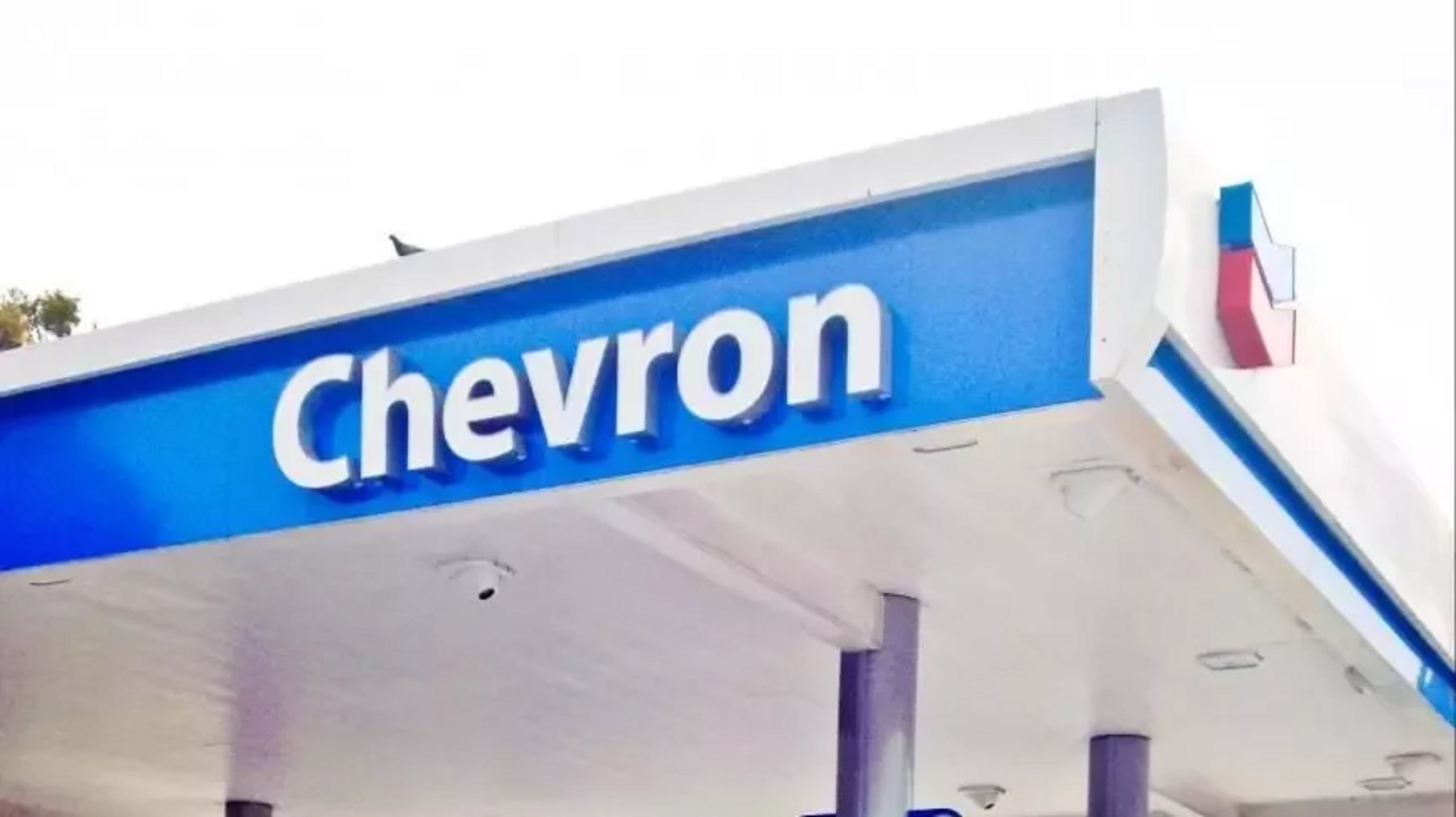 Chevron Canada to pursue its first ever shale development | Business ...