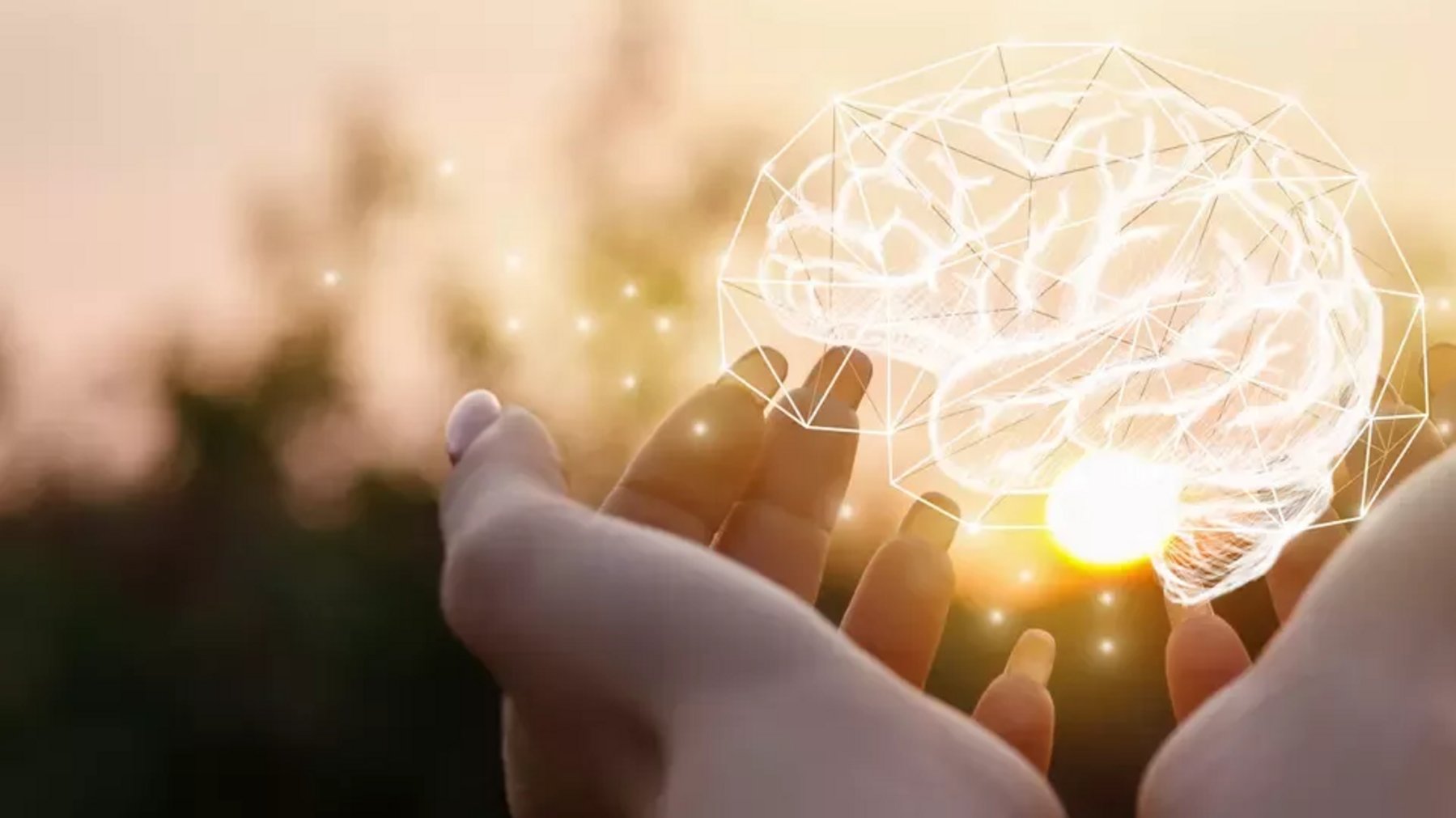 Kate Bohn shares her insights into diversity in technology | Technology Magazine