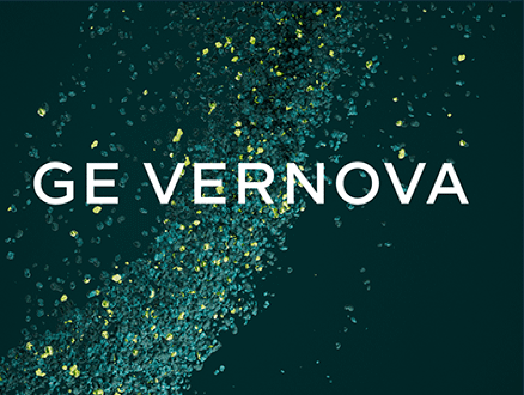 GE Vernova's Sustainability Performance in Year One Revealed ...