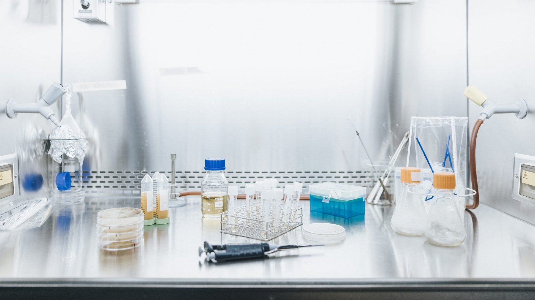 Biochemicals, green transformation and a growing industry ...