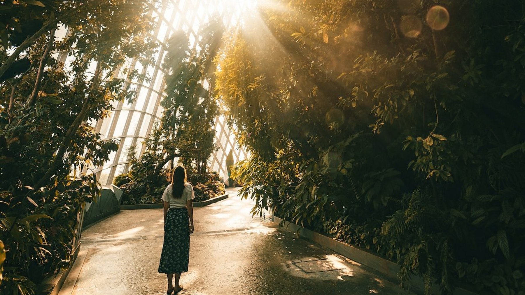 5 Minutes With: Jack Macfarlane, CEO of DeepStream | Procurement Magazine