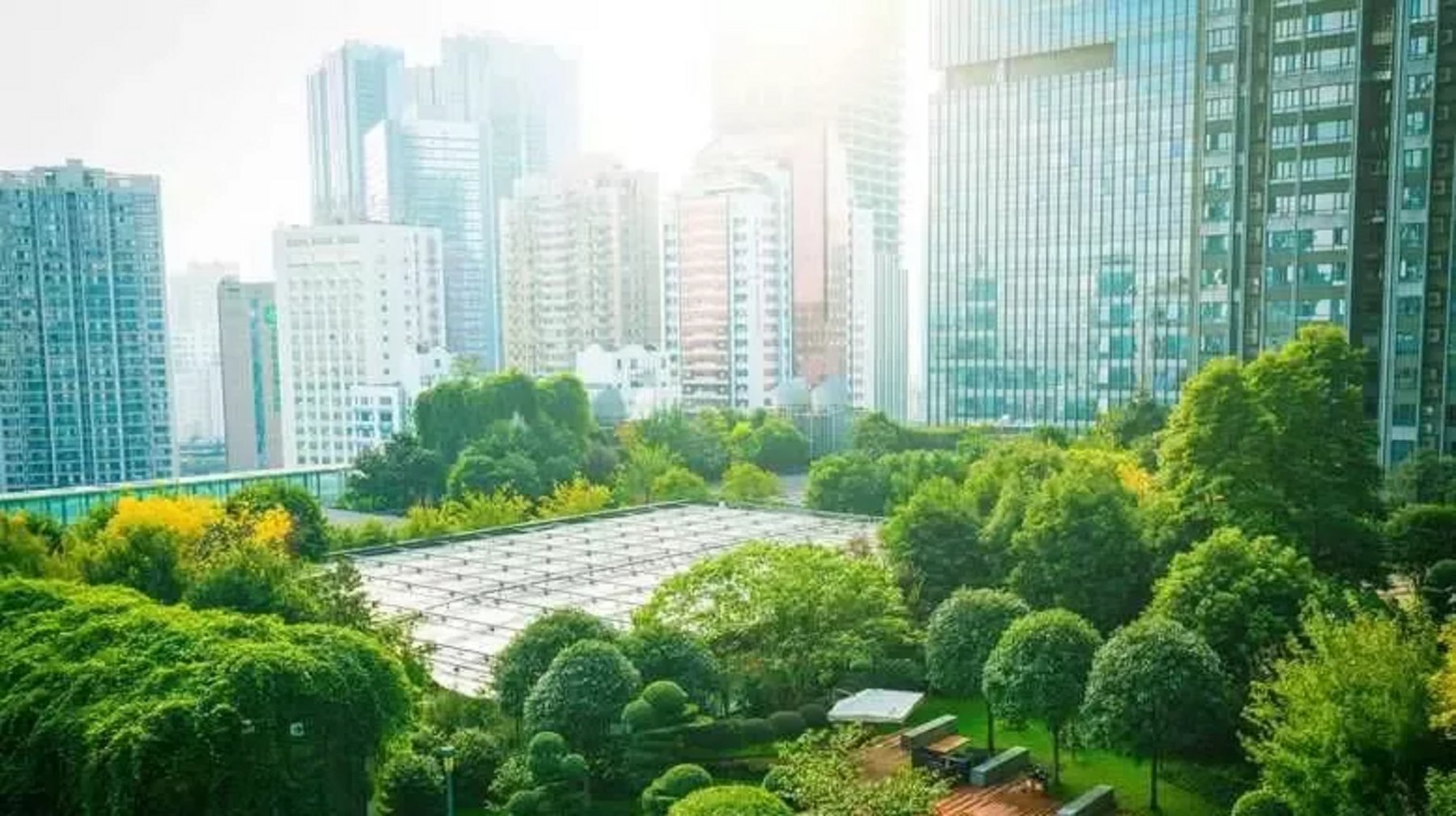 Jacobs: a more sustainable future | Sustainability Magazine