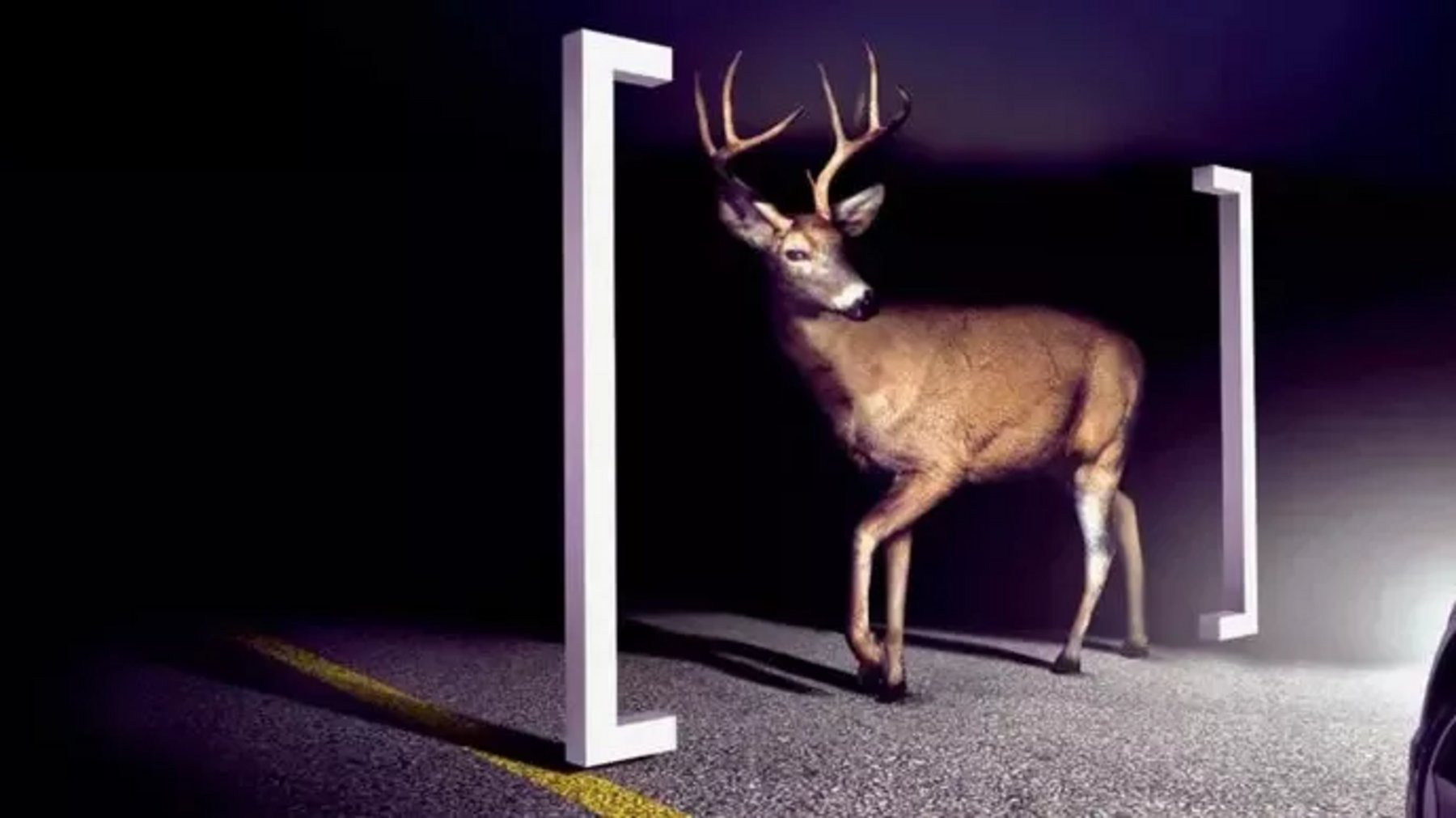 Cadillac adopts Veoneer Night Vision thermal imaging system ...