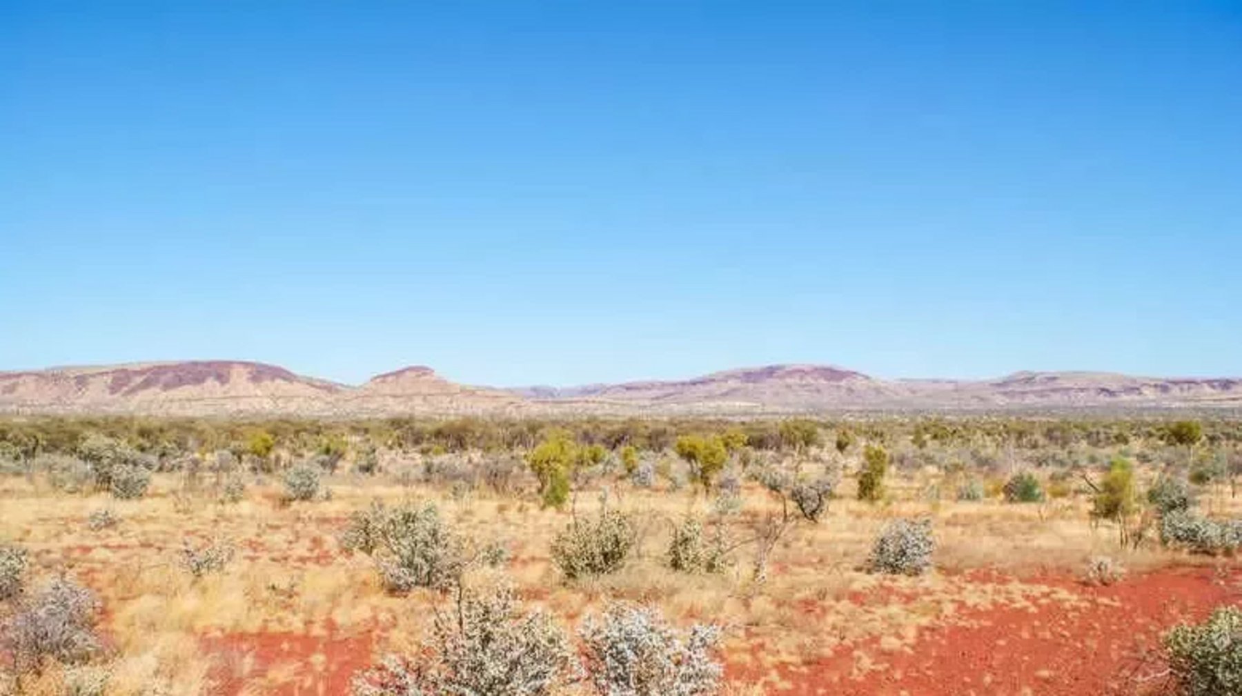 Red5 continues to grow throughout Australia following Eastern ...