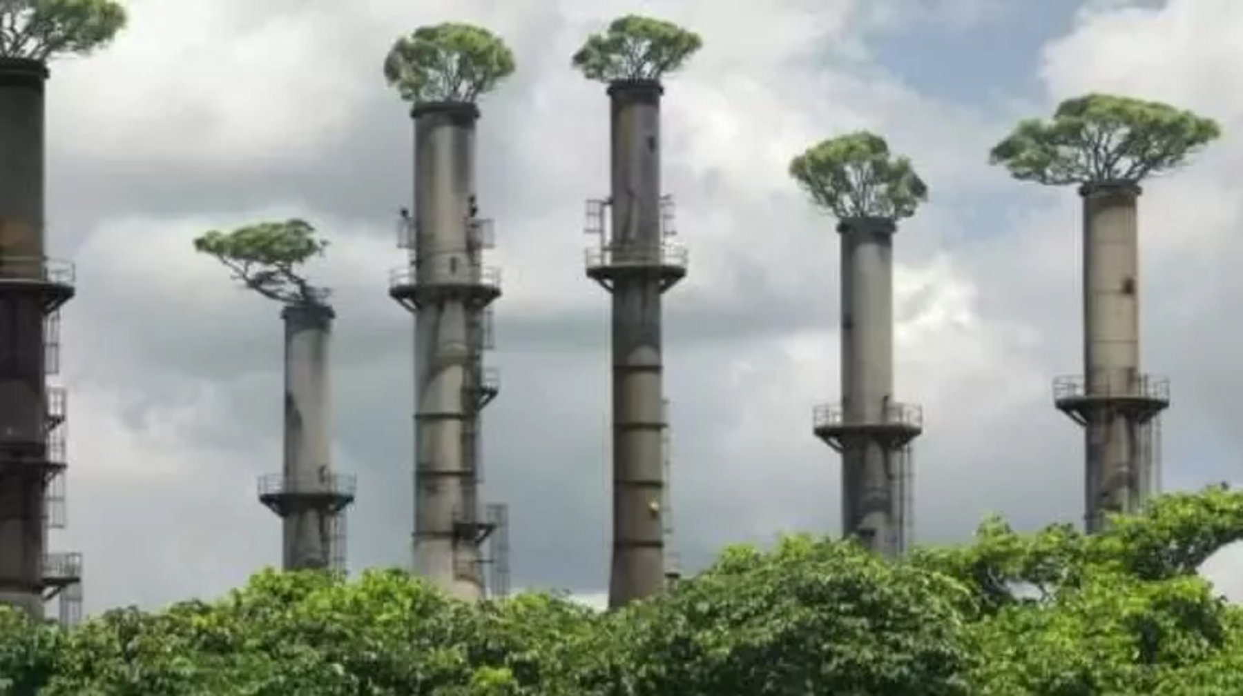 Clean Energy Systems $30M on zero emission power plants | Energy Magazine