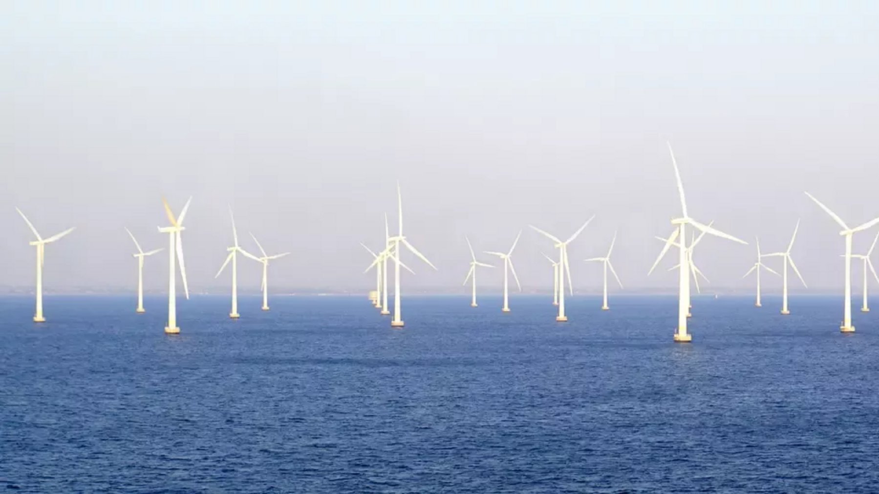 Orsted/BASF sign 25-year wind power purchase agreement | Manufacturing ...