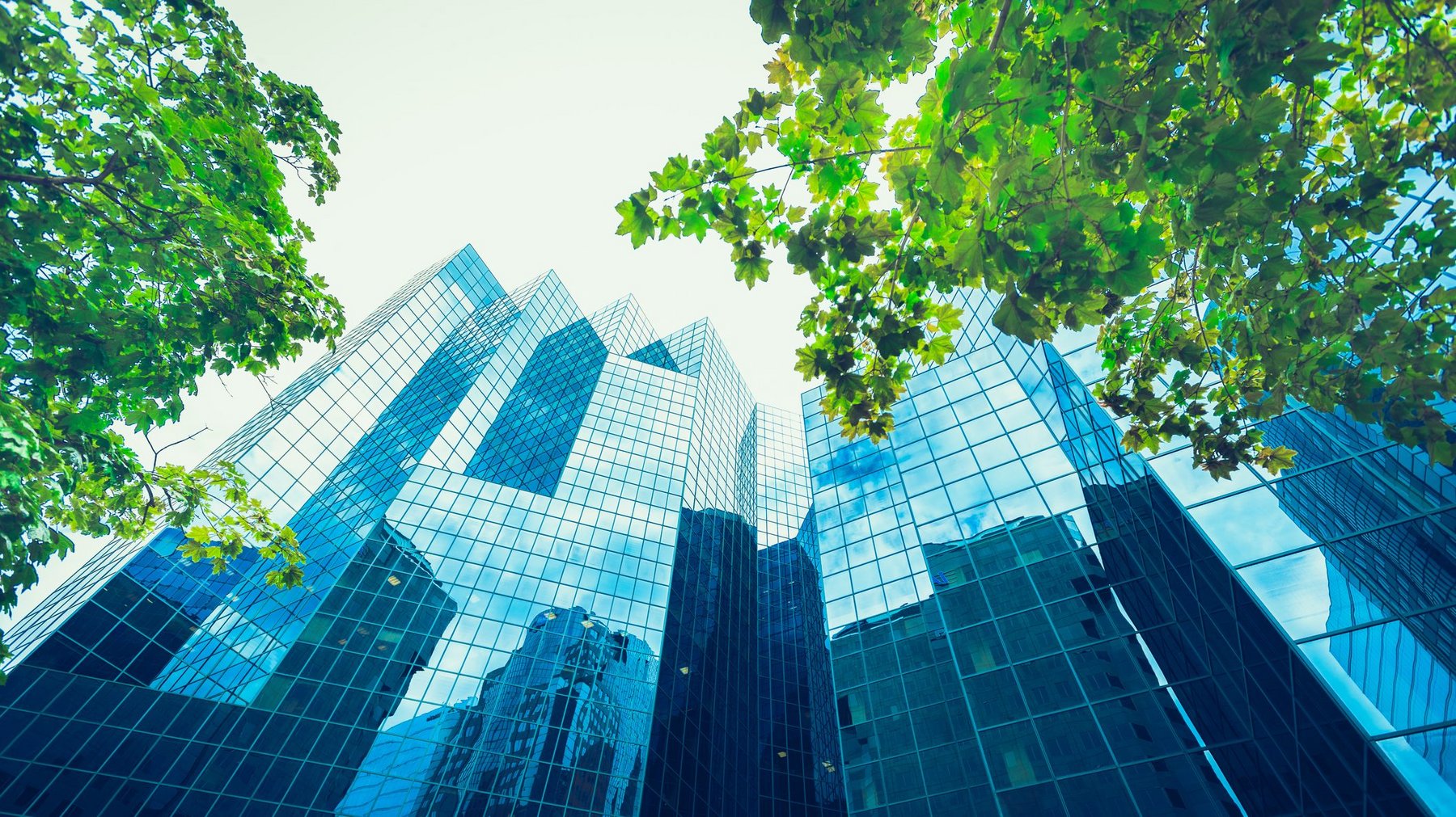 Accenture expands portfolio with Carbon Intelligence | Technology Magazine