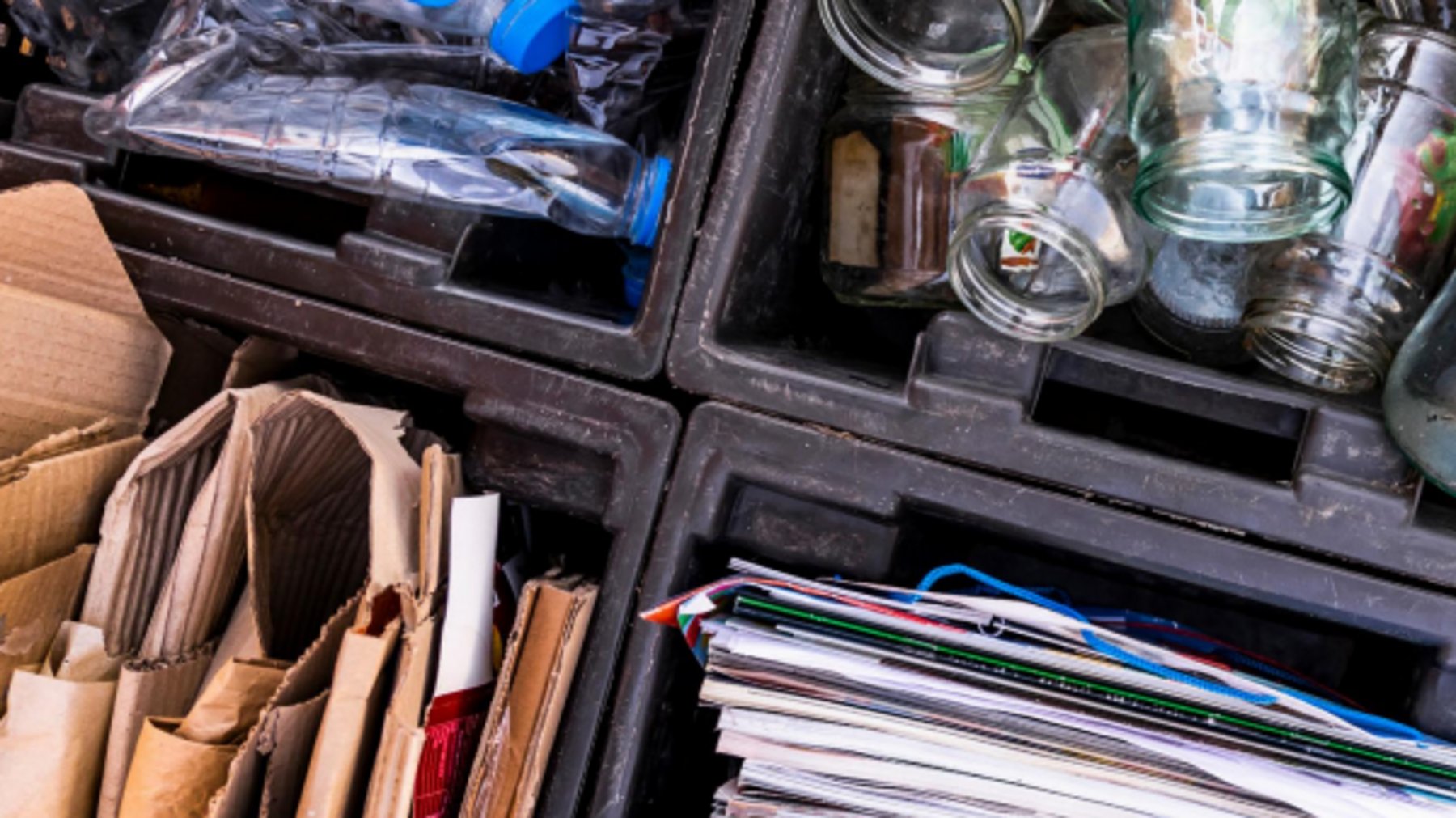 Colgate & OnProcess on helping supply chain circularity | Supply Chain ...