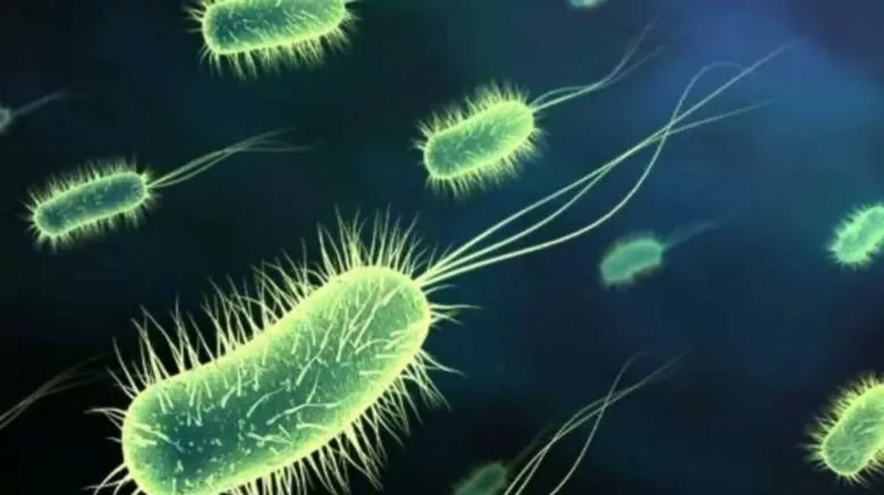 Hydrogen Fuel Breakthrough Uses Bacteria | Energy Magazine