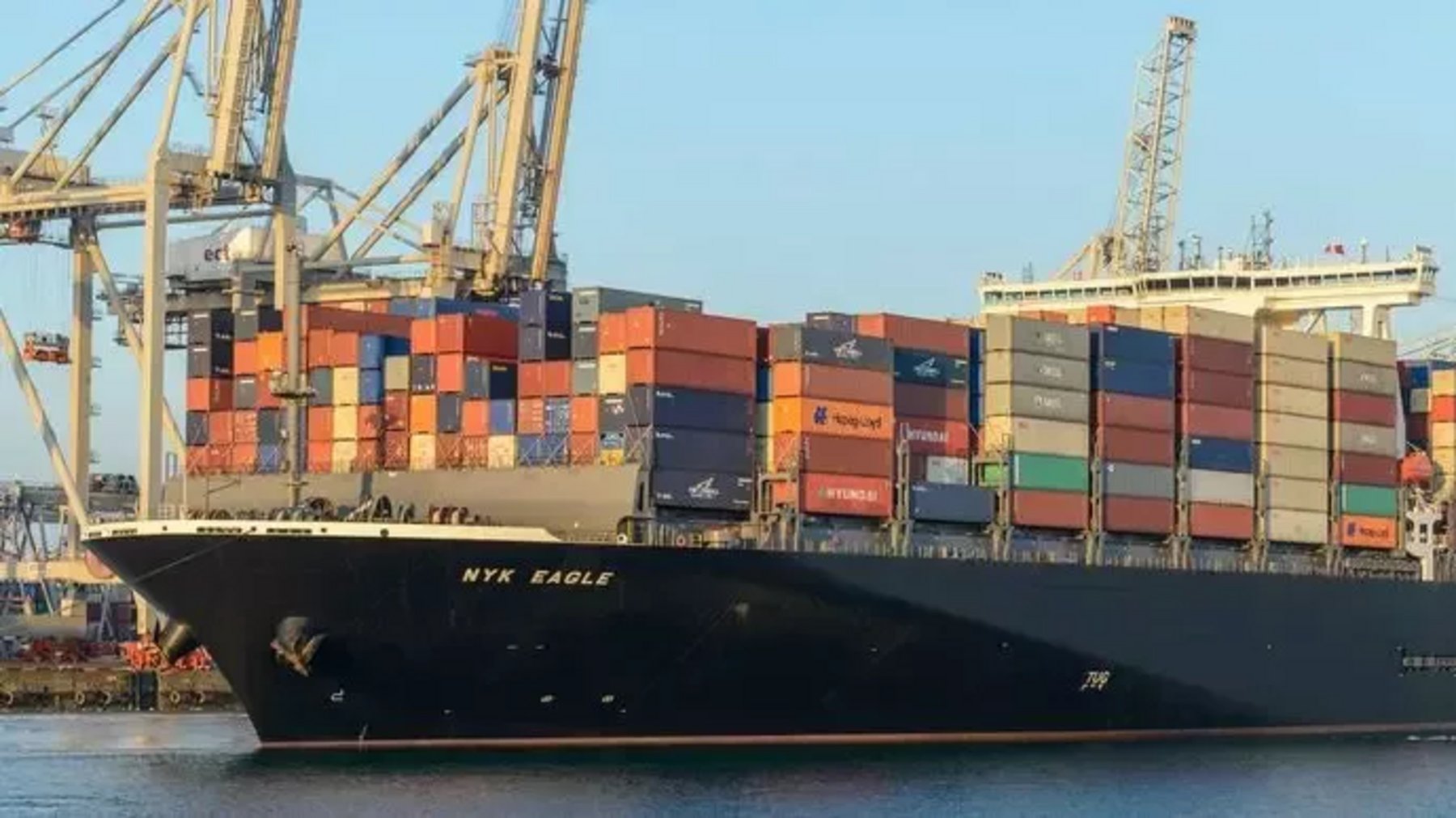 NYK Line Recognised as one of World’s Top Green Businesses | Supply ...