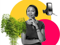 Sedex: Data-Driven Tools for Supply Chain Sustainability ...