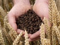 Nestlé & Cargill use cocoa shell in new lowcarbon fertiliser ...