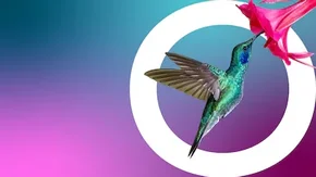 Latest 'Sustainability' News & Feature Articles | Telco Magazine