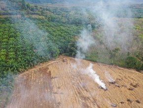 Procurement & Supply Chain Live: Meet Shaun Plunkett | Supply Chain ...