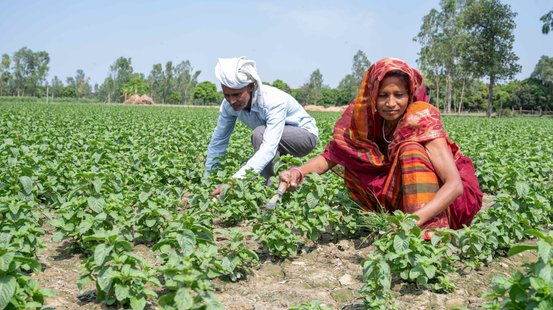 Mars | Supply Chain Magazine