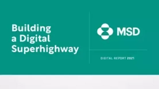 Msd Singapore Logo