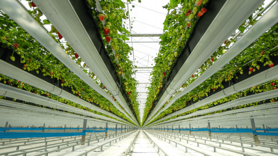 Hanno Kirner | Supply Chain Magazine