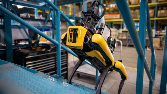 Merry Frayne | Procurement Magazine