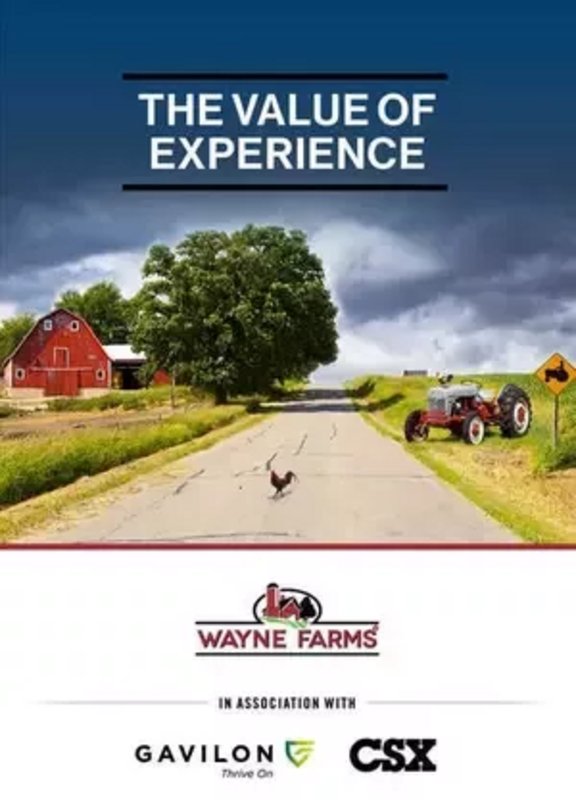 How Wayne Farms leverages experience to transform its supply chain ...