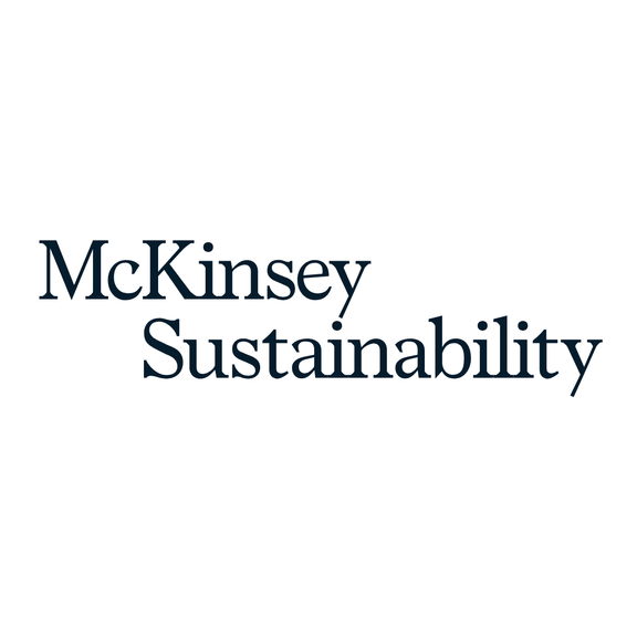 McKinsey Executives | Telco Magazine