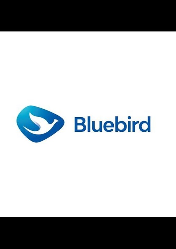 Bluebird Group Logo