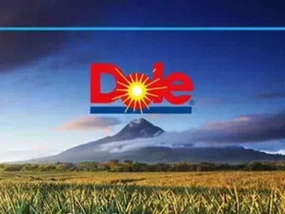 Dole Logo Png Dole Dole Logo With Sunburst CleanPNG