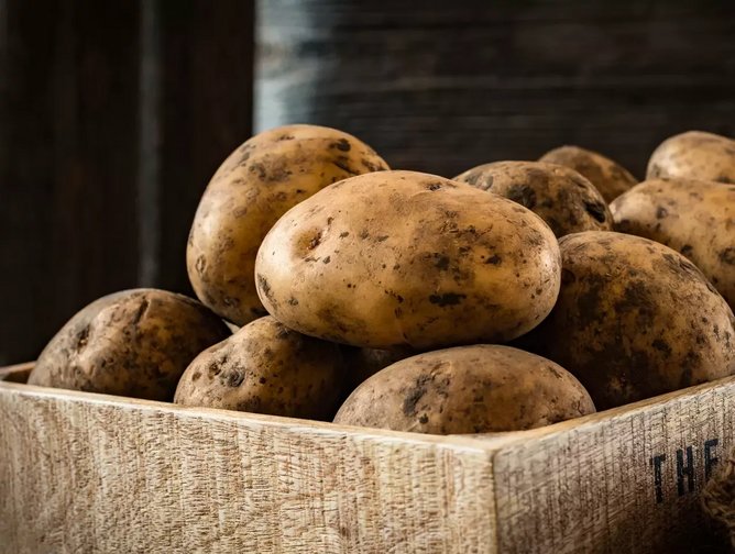 Milk-veganism mash-up for potato innovators Dug | Food and Drink Digital