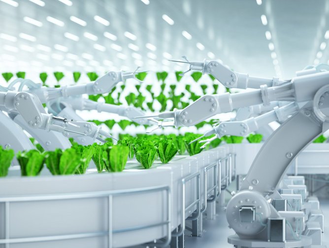 Looking to the future with autonomous yard operations | Sustainability ...