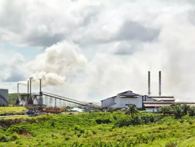 Refining biomass into liquid fuel | Energy Magazine