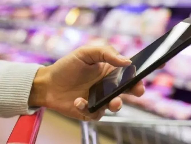 Importance of Business Adaptation for Canada's Conscious Consumerism ...