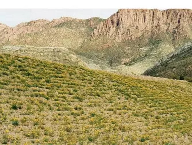 Resolution Copper completes $75m mining restoration project | Mining ...