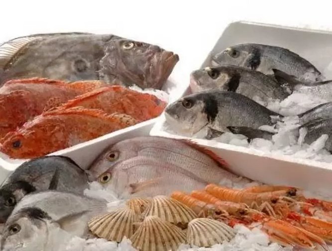 Cargill expands aquaculture offer with purchase of Norwegian fish-feed ...