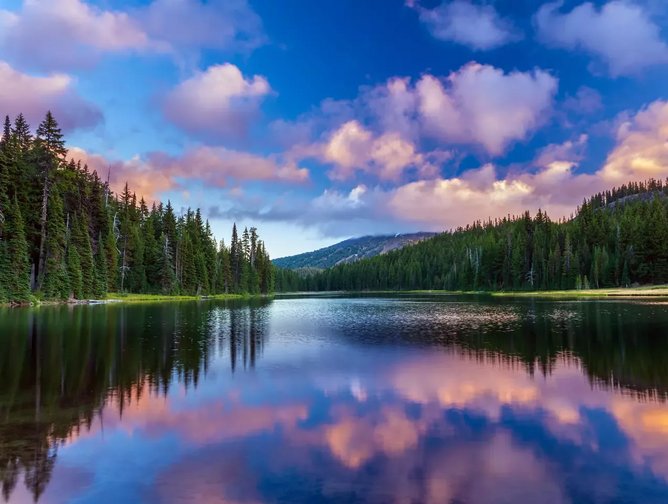 Oregon tops Eachnight's ranking of green US states from 1-50 ...
