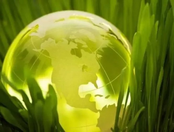 U.S. companies lead renewable energy procurement | Supply Chain Magazine