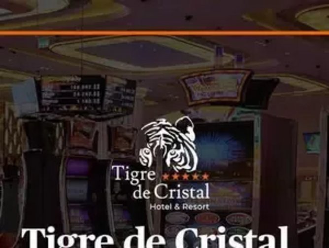 Tigre de Cristal implements new technologies to empower a new ...