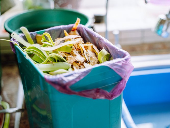 Why you should start composting in 2023 | Sustainability Magazine