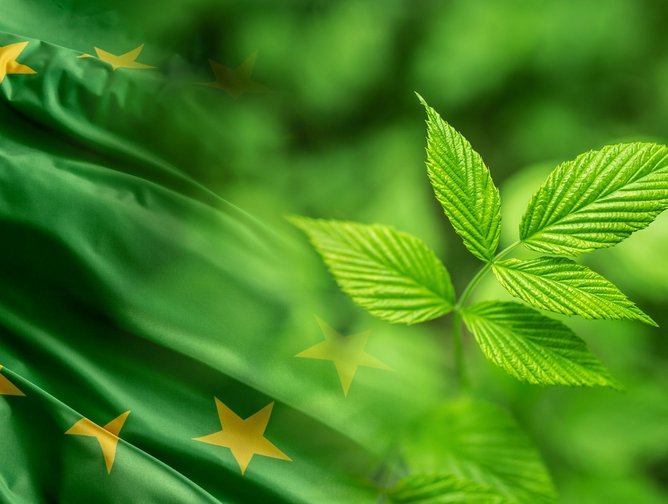 The EU enters into green subsidy race with the US | Sustainability Magazine