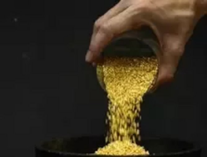 World Leading Gold Producer | Business Chief UK & Europe