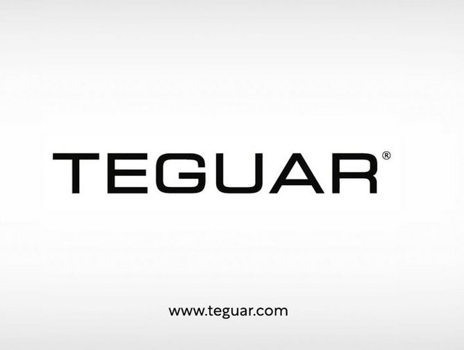 Teguar & LivaNova team-up to support patients | Technology Magazine