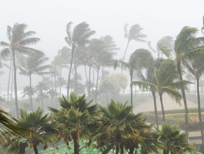 Tower Insurance trials parametric cyclone cover in Fiji | InsurTech Digital